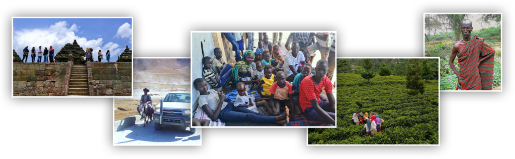 Home - Ronald Quejas-Risdon